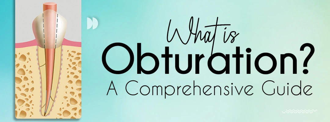 What is Obturation? A Comprehensive Guide for Dental Professionals ...