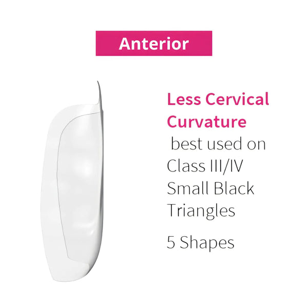 Bioclear Anterior Matrix - Clear Anatomical Sectional Matrices by ...